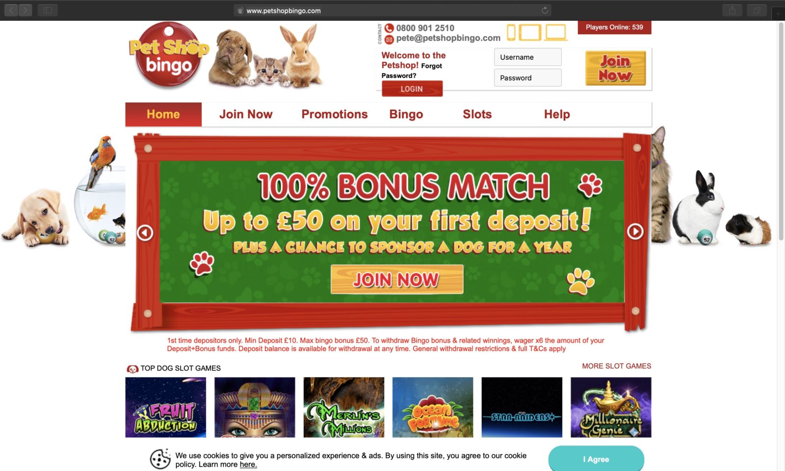 Petshop Bingo Sister Sites – Play at Sites like Petshop Bingo (2024)